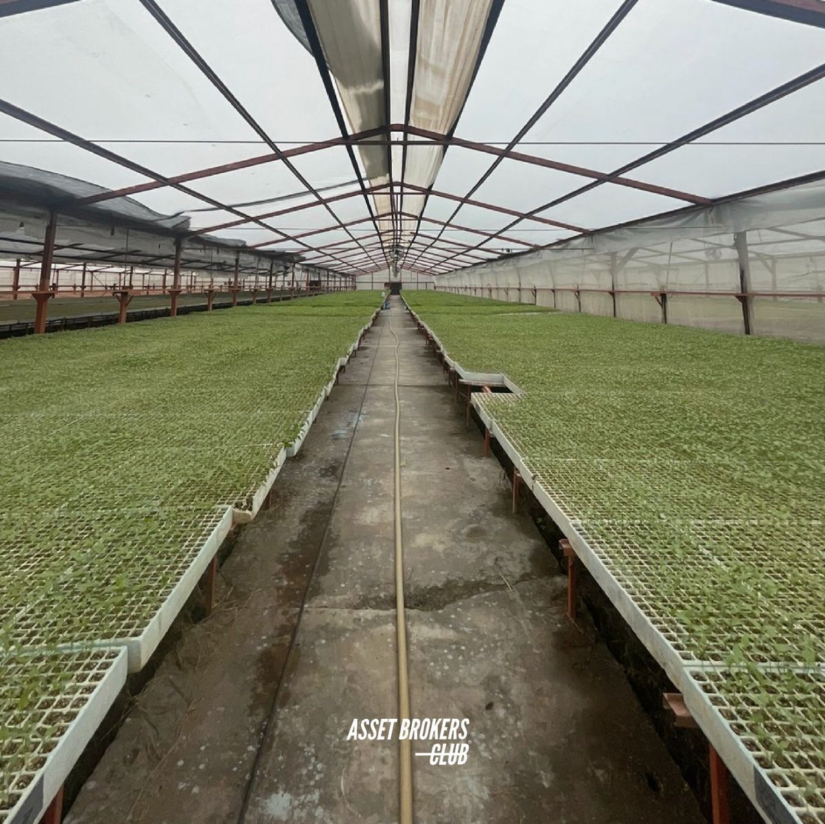 Inicio - Asset Brokers Club